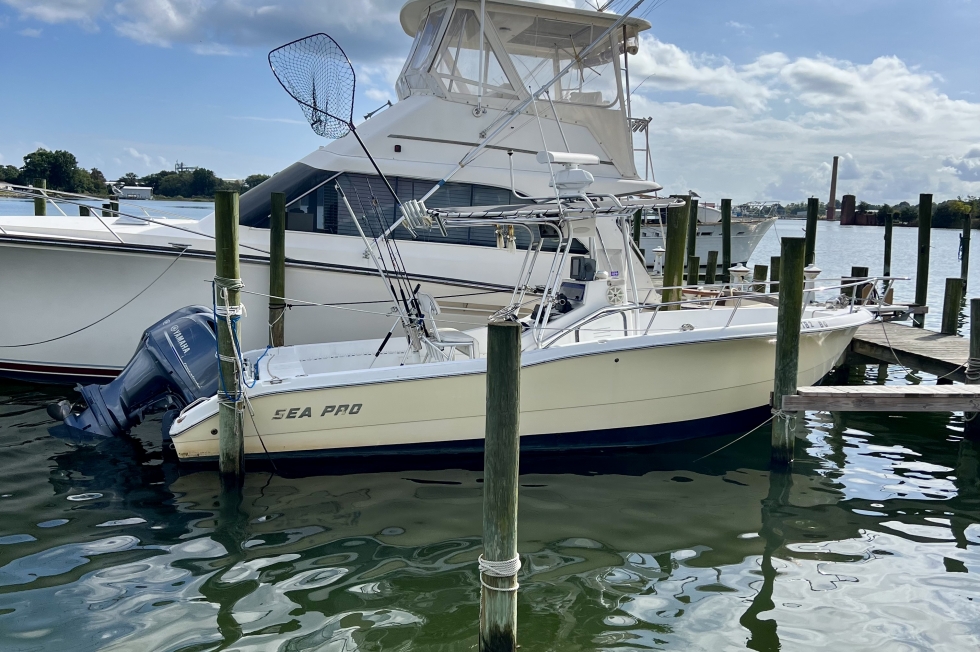 2002 Sea Pro 255 Tournament Series